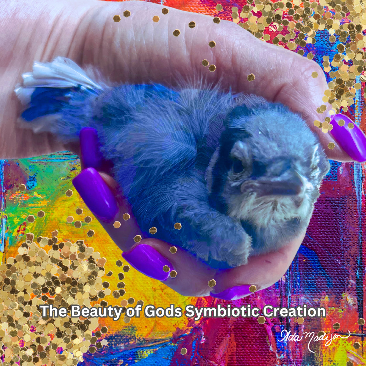 The Beauty of Gods Symbiotic Creation – Ada Madison